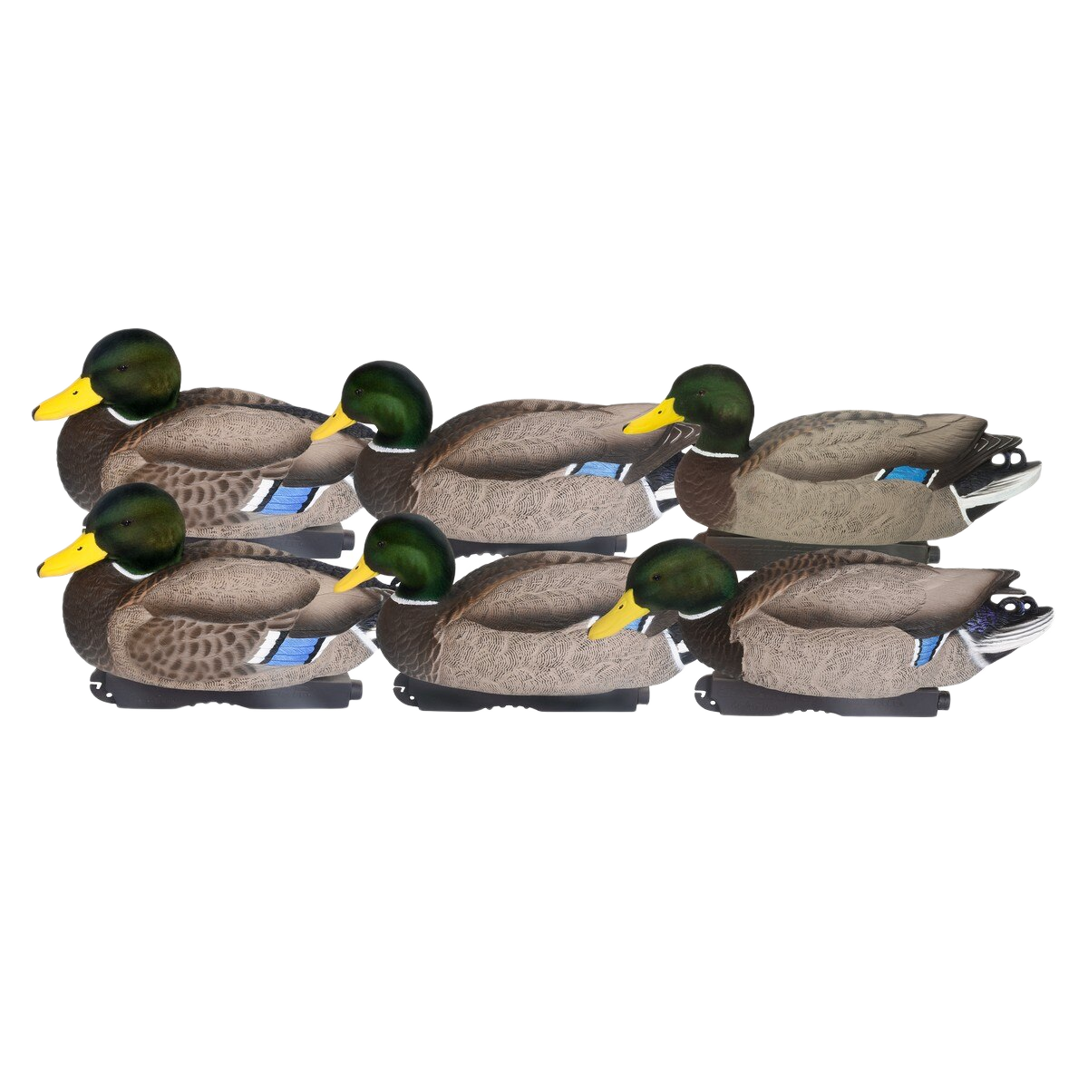 GHG PG XD Drake Mallards with Flocked Heads Duck Decoys 6 Pack | Bass ...